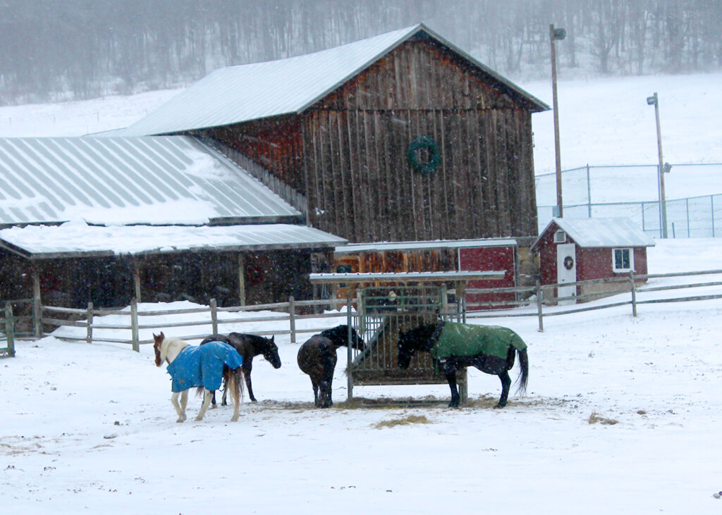 The economy needs a little bit of unfairness - Olean Times Herald
