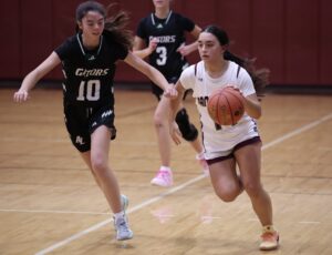 Salamanca girls rally past Ellicottville; A-L holds off Portville ...