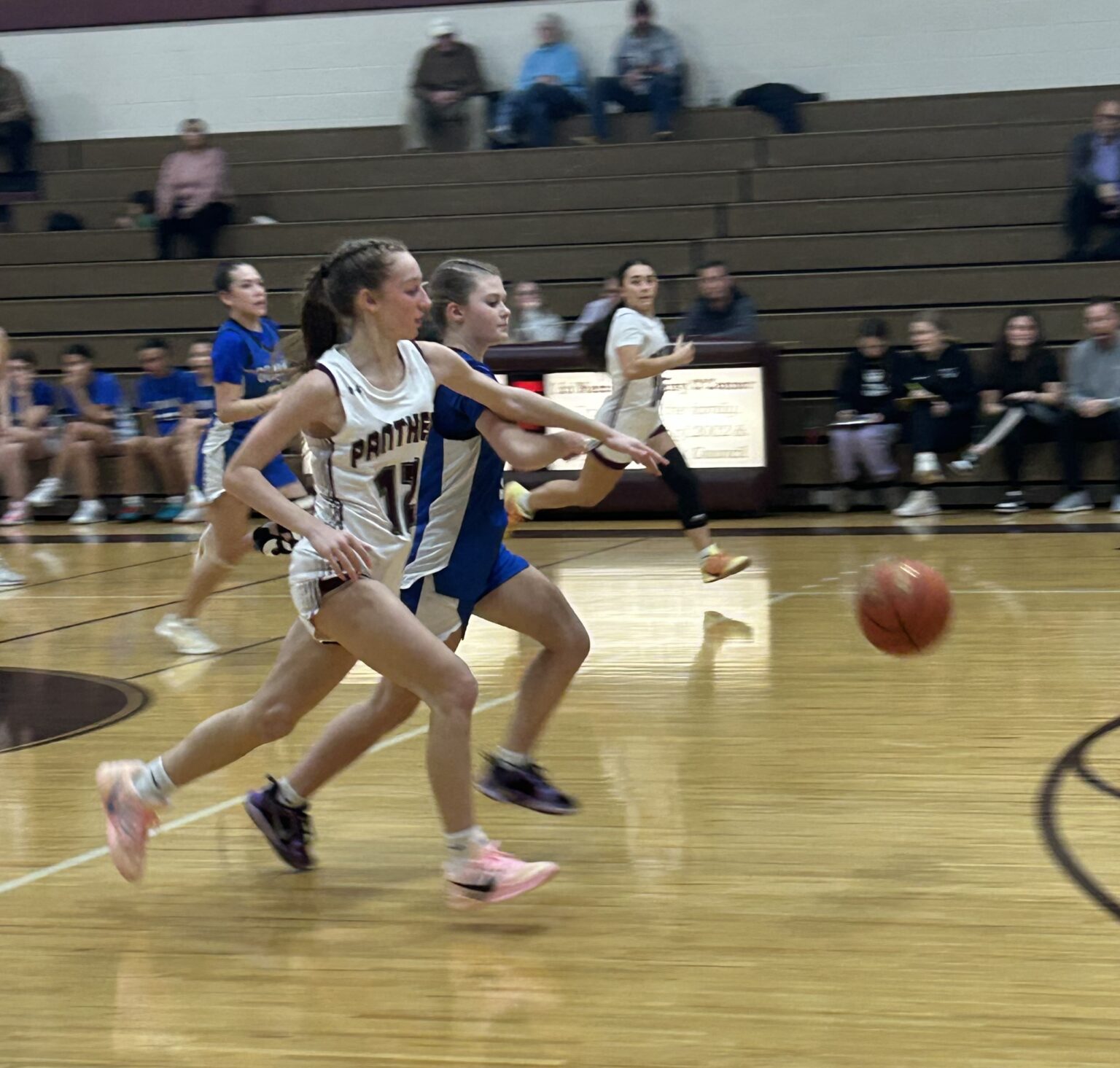 Haynes, Portville rally past Gowanda in second half - Olean Times Herald