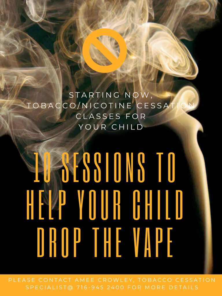 Informational Meeting Ellicottville Central School– High School Library ...