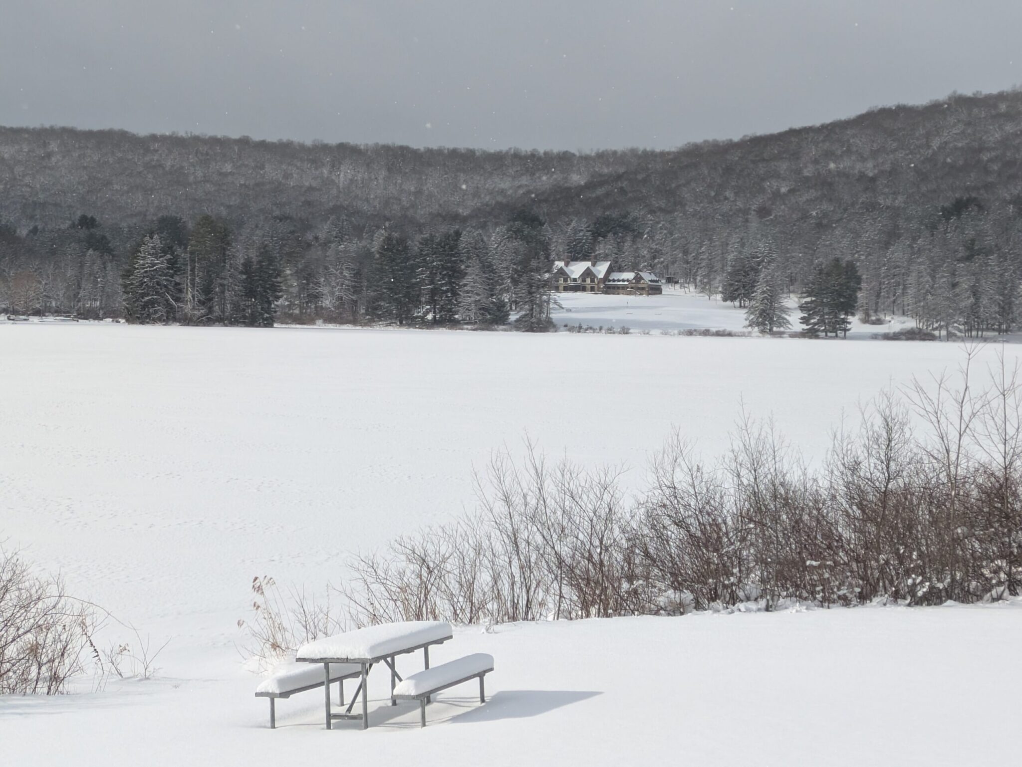 New Year's snow in Allegany State Park - Olean Times Herald