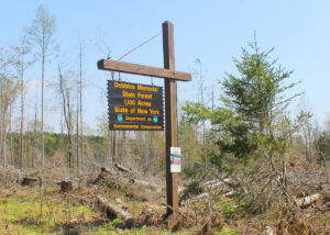 Readers' Turn to Write: Legislation on use of state forest lands is ...