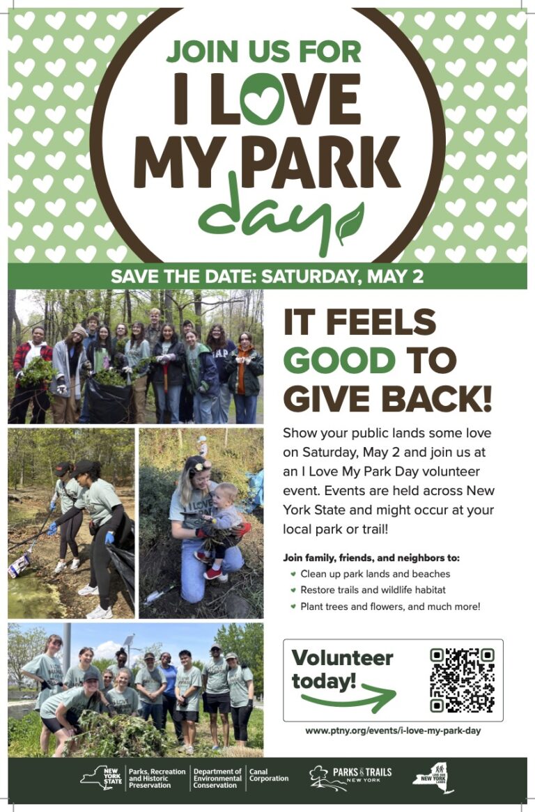 Jean E. Searl - Olean Times Herald