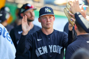 Yankees make their case for new alternate jerseys - Olean Times Herald