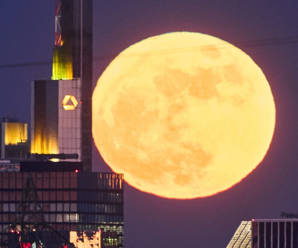 State & Union: Rare blue 'micromoon' rises on Sunday - Olean Times Herald