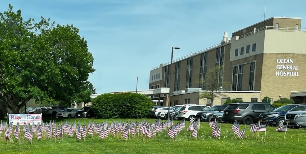 Mary Elizabeth Wieland - Olean Times Herald