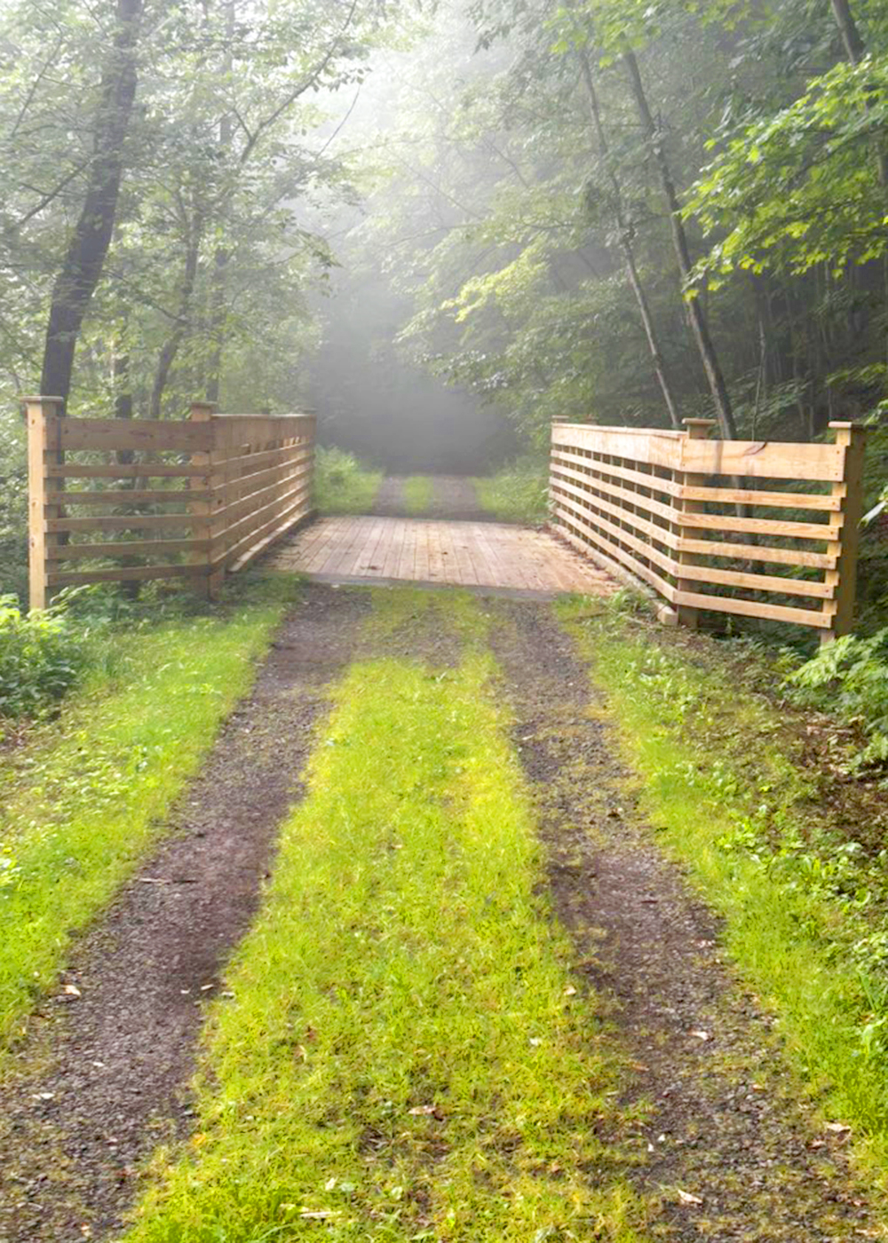 Pat McGee Run Club ready to go this June - Olean Times Herald
